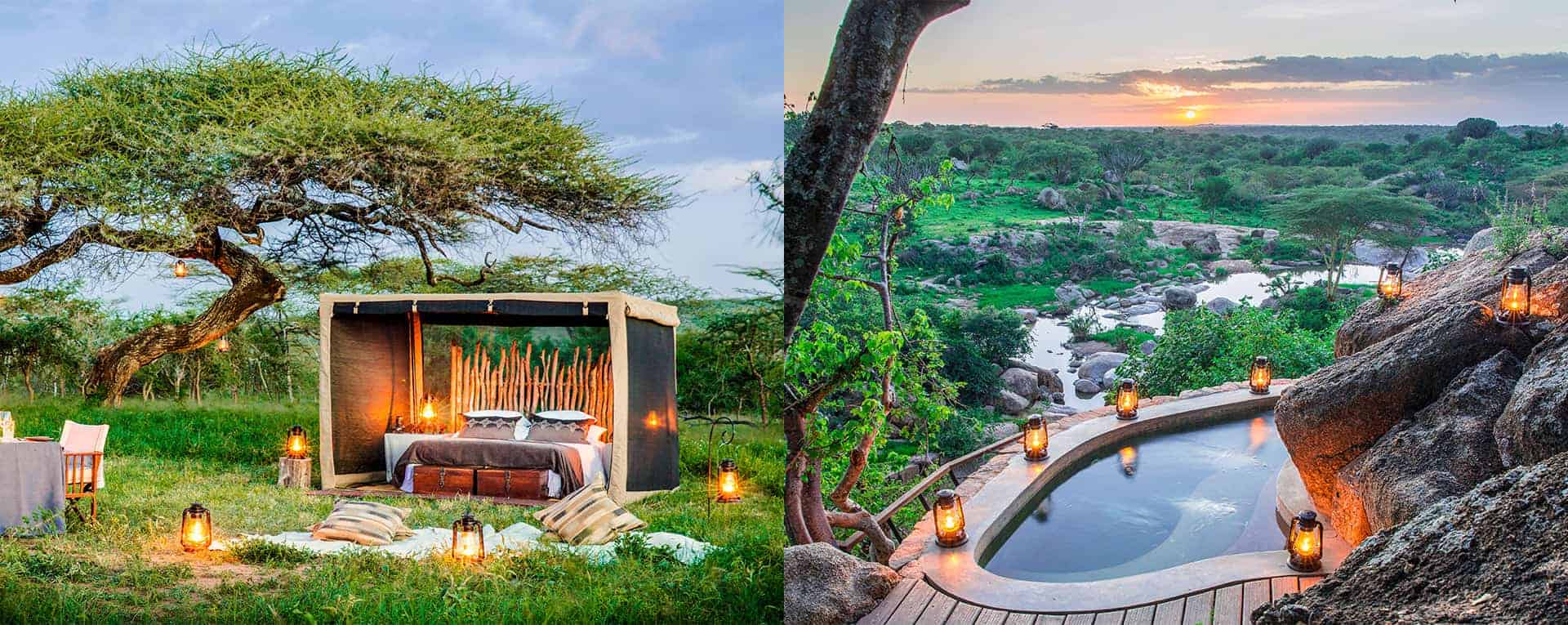 Factors to Consider When Choosing a Safari Lodge