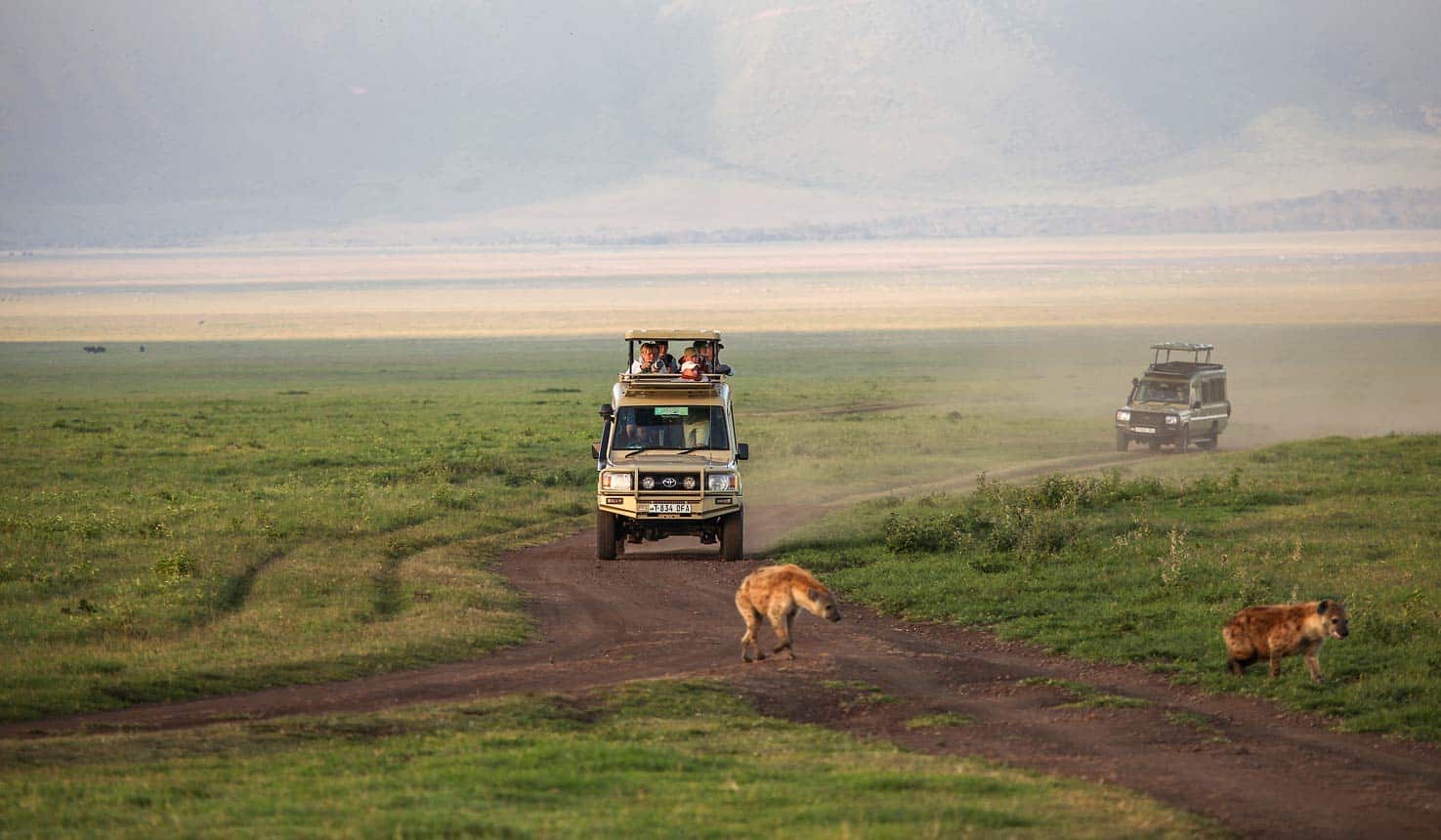Tanzania Day Tours - Ultimate Safari Adventures in One Day