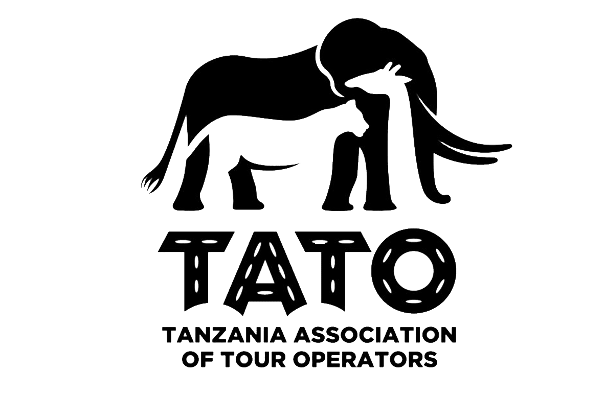 What is TATO and How Does It Work?