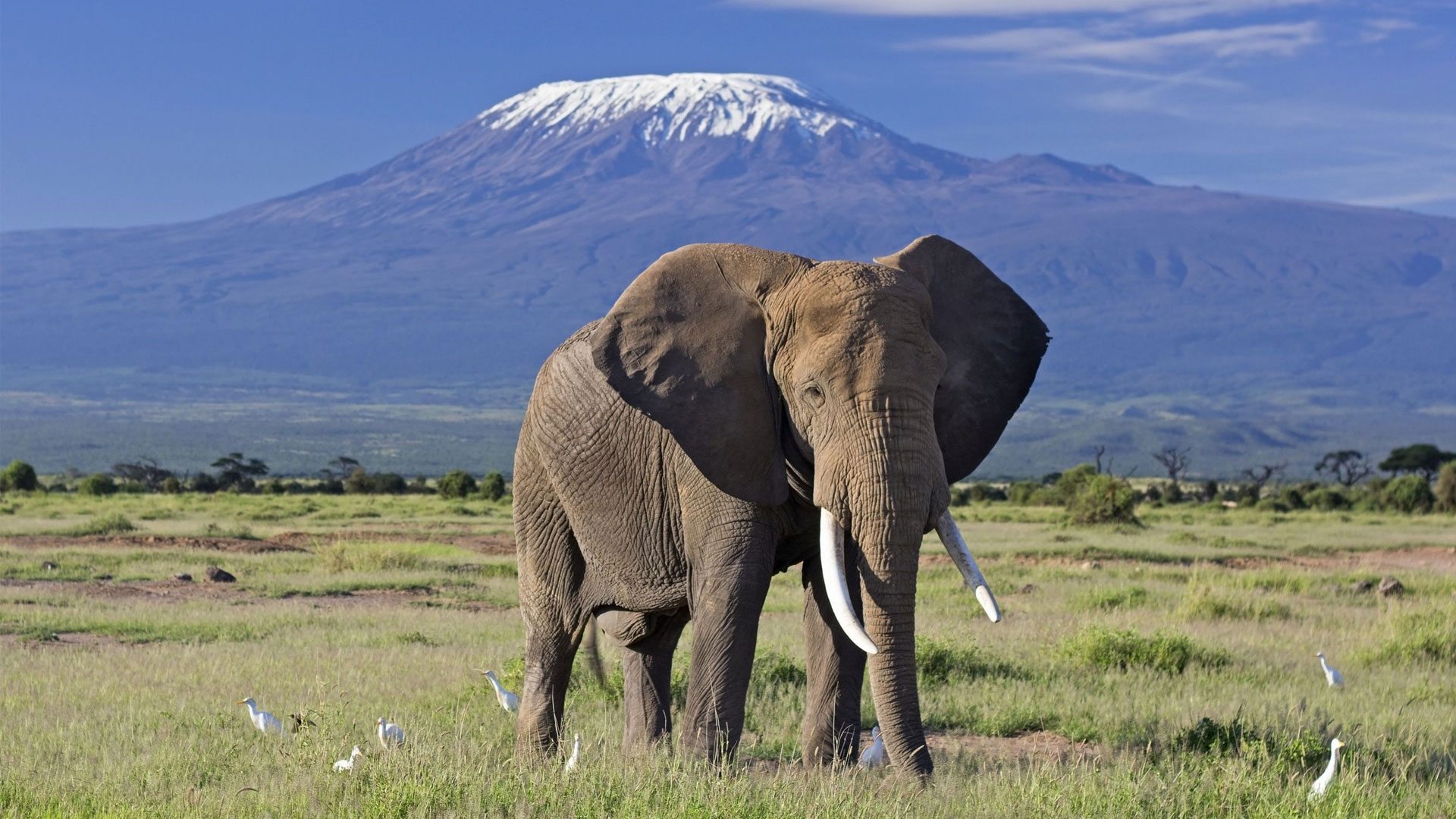 Africa Tours: Everything You Need to Know for 2025–2026